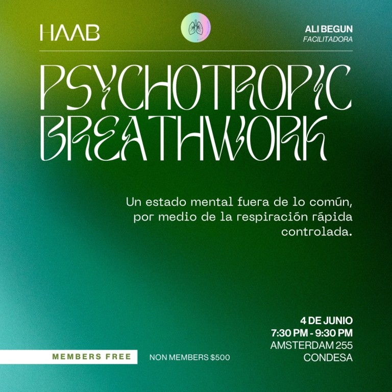 Home - HAAB Project | A working and collaboration community in Mexico City