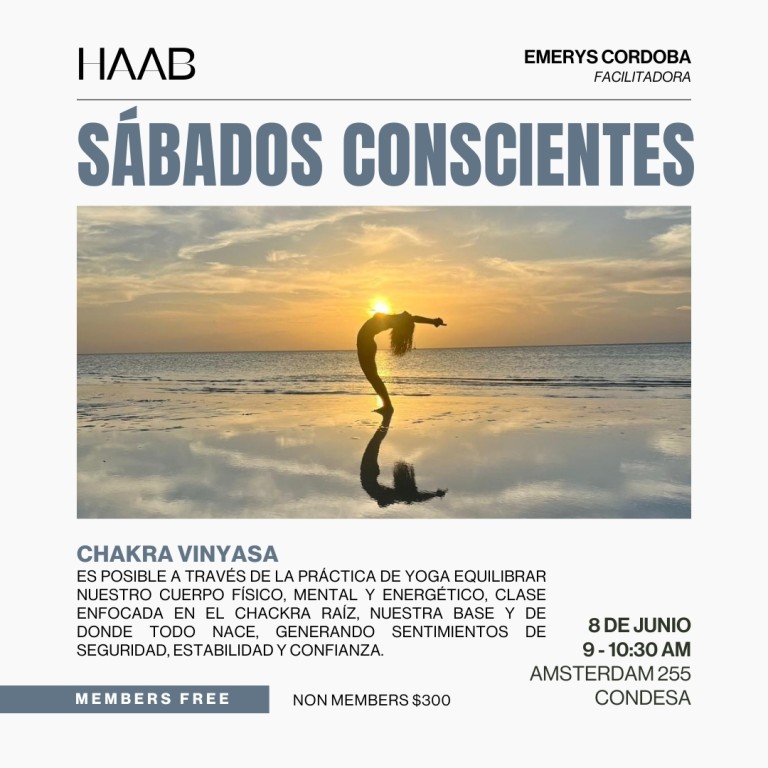 Home - HAAB Project | A working and collaboration community in Mexico City